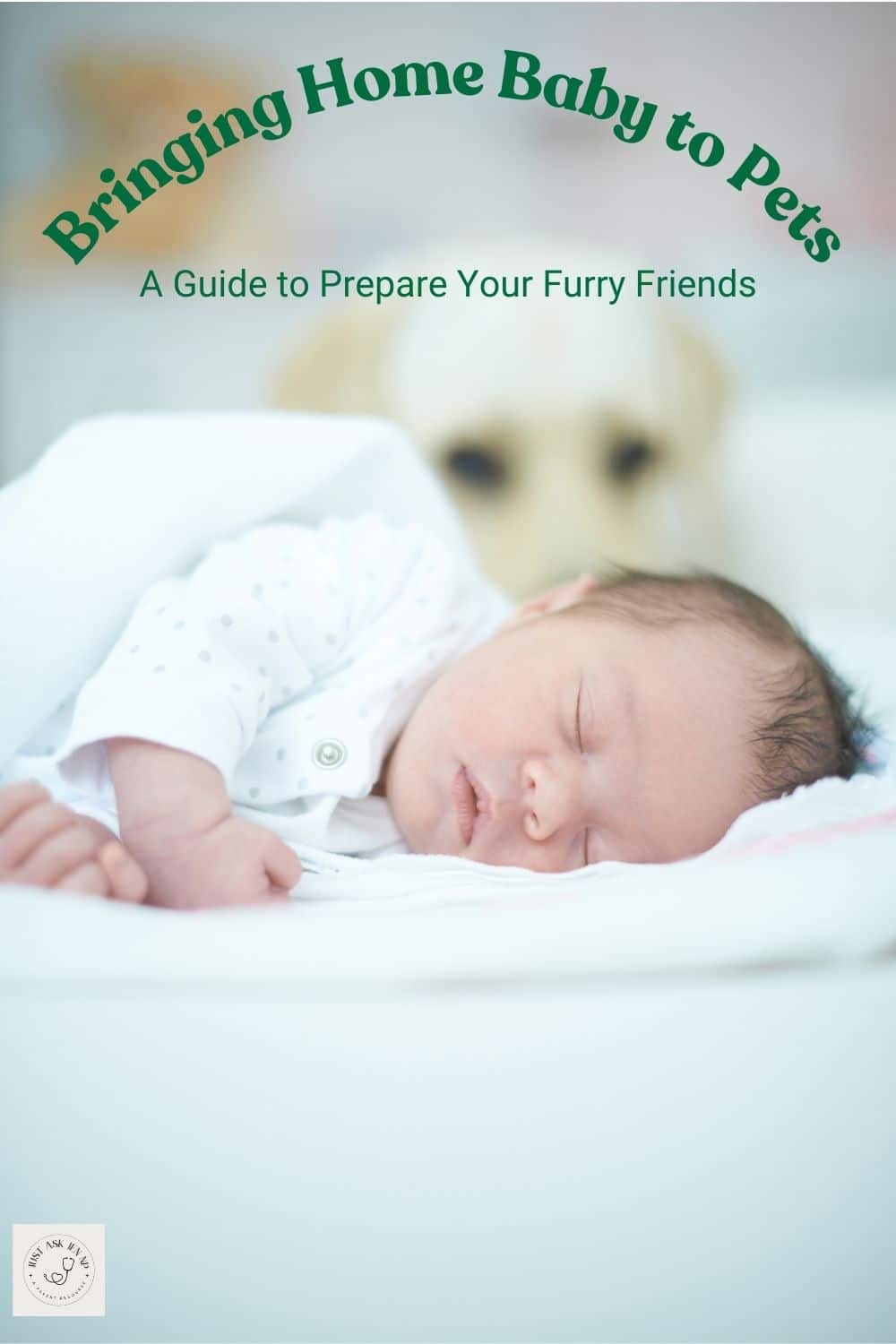 Bringing a New Baby Home to Pets: A Complete Guide in 2025 - Just Ask ...