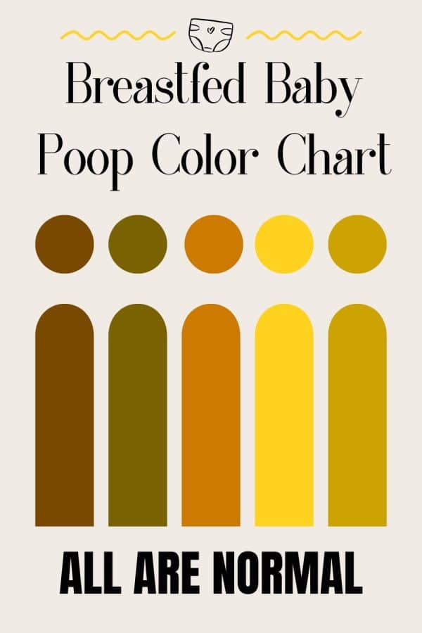 The Complete Guide to Breastfed Baby Poop: Colors, Frequency, and What ...